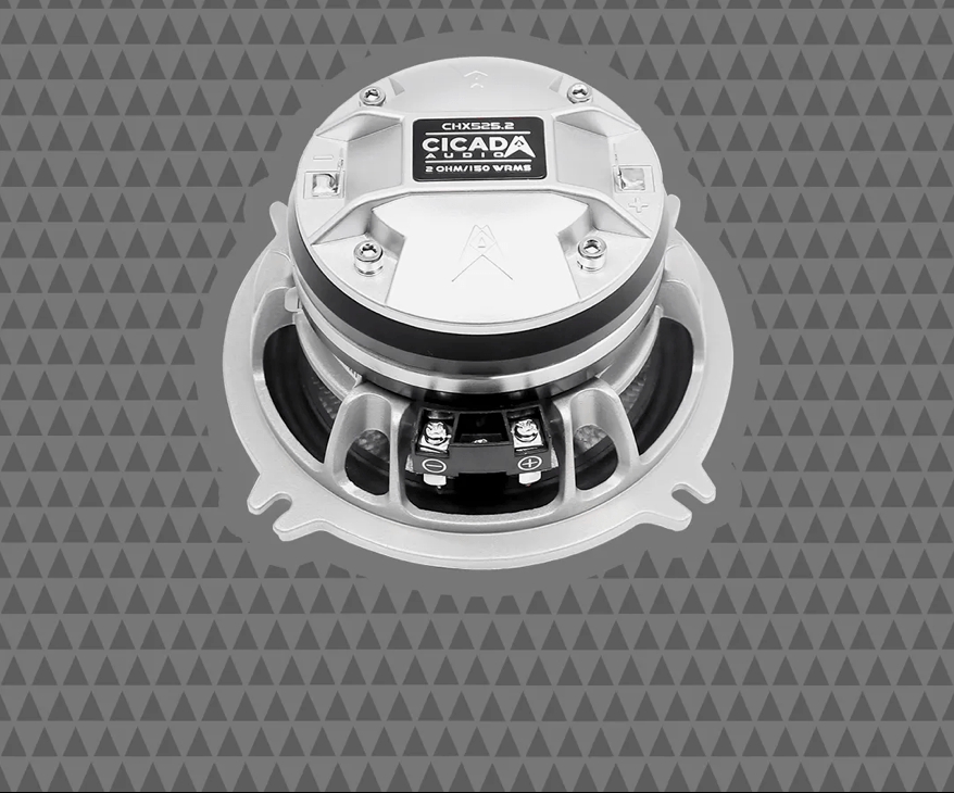 Cicada Audio Speakers | Neodymium Magnet Speaker | Horn Load speakers ...