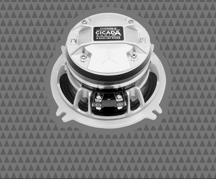 Cicada Audio Speakers | Neodymium Magnet Speaker | Horn Load speakers ...