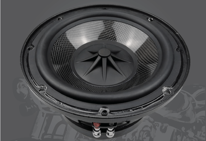 10 Inch Subwoofer | Cicada Audio | Motorcycle Stereo | Garage Bagger Stereo